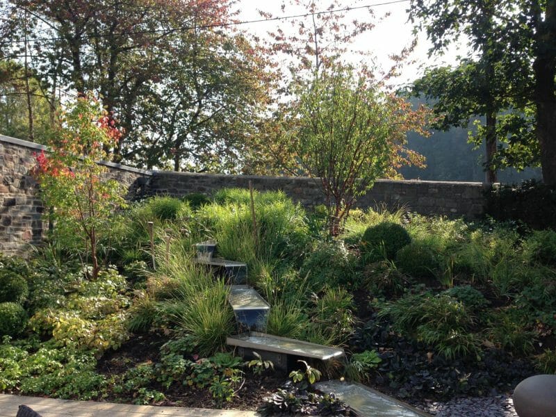 Water Feature Planting - Garden Designs - Alicia Savage Garden Design