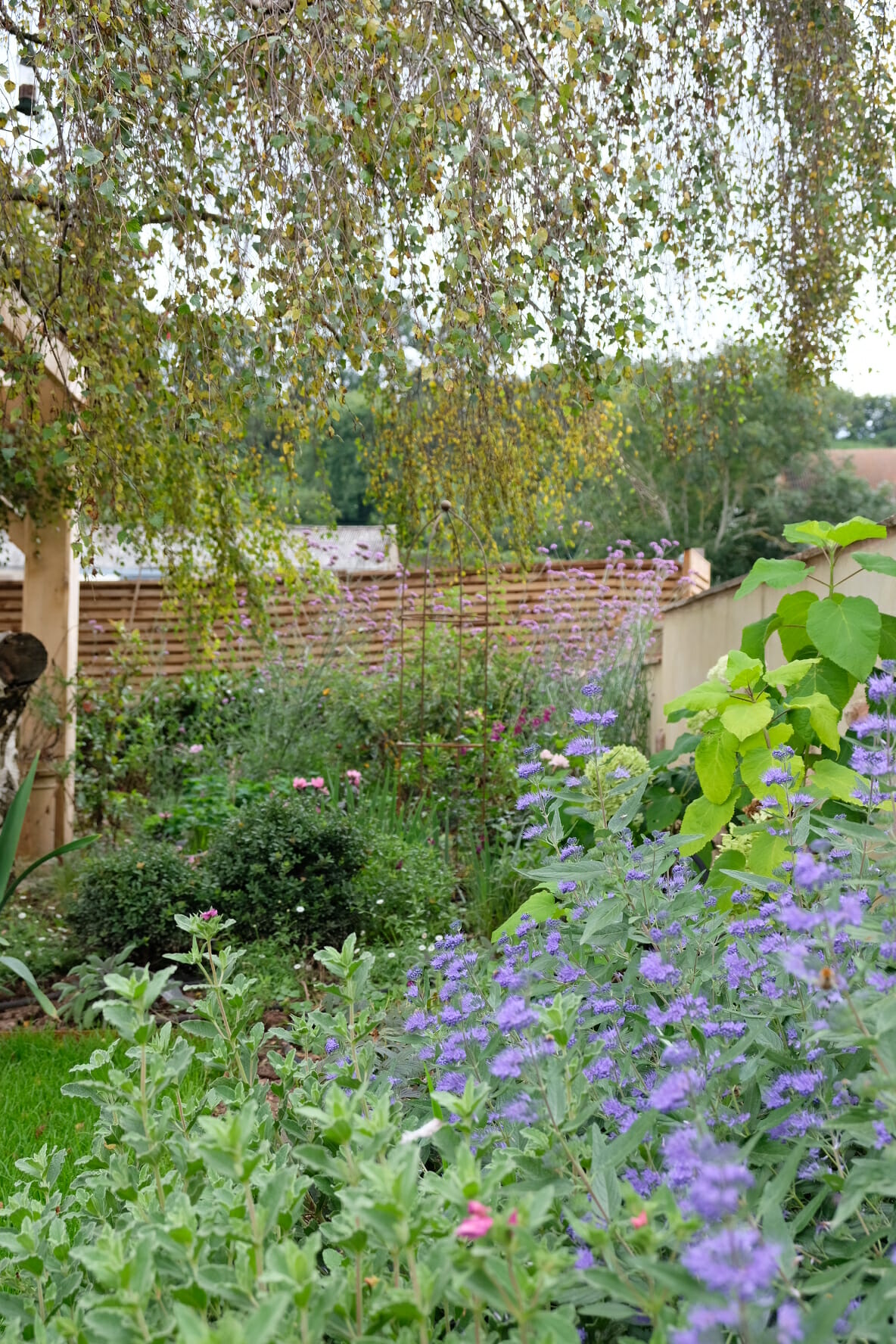 Court Farm Garden Design - Alicia Savage Garden Design